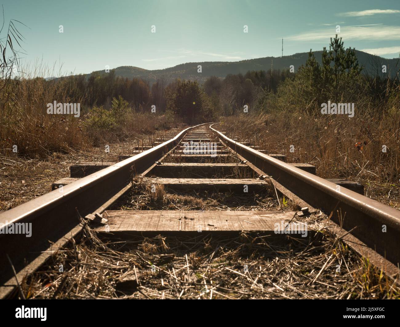 train rails in moor landscape; path to the sun. scene of railroad in ...