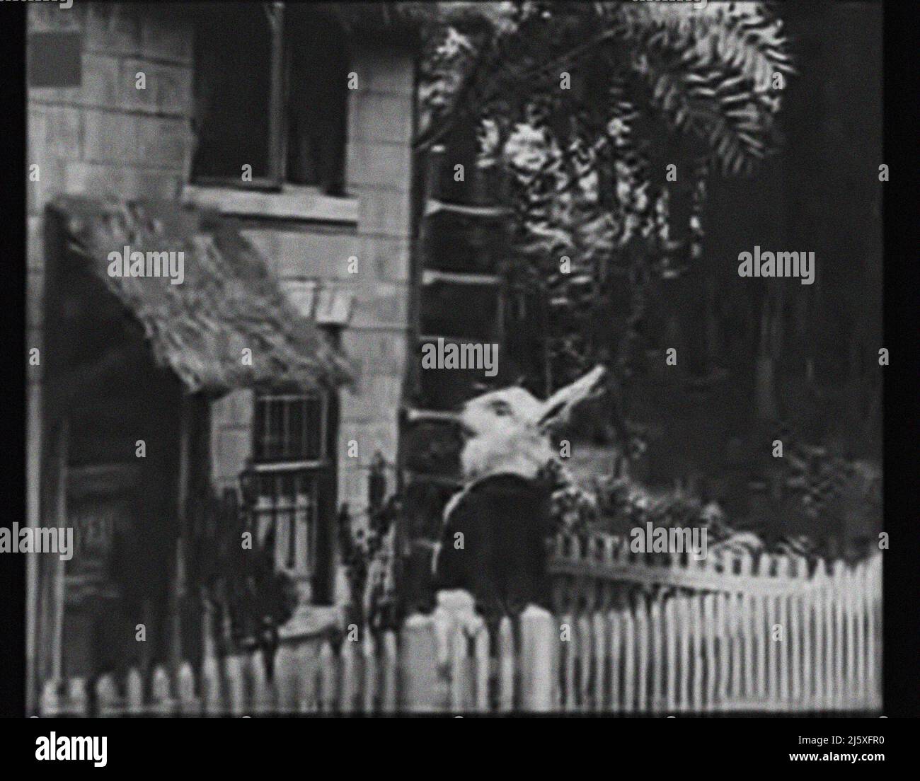 Alice in Wonderland 1915 vintage movie still Stock Photo - Alamy