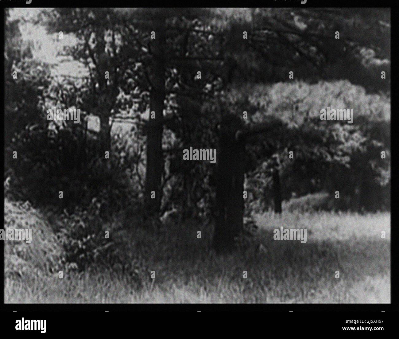 Alice in Wonderland 1915 vintage movie still Stock Photo - Alamy