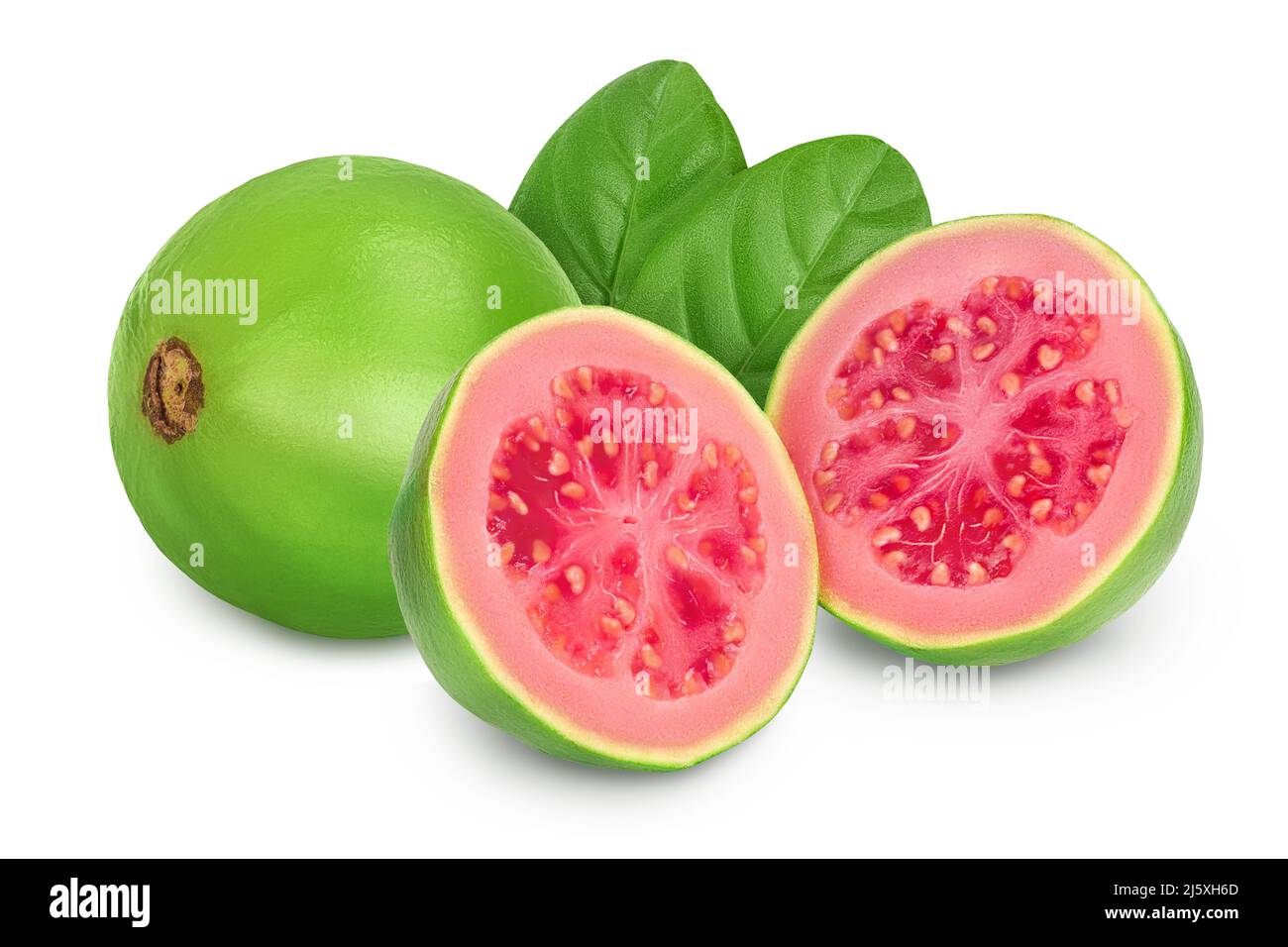 Guava fruit isolated on white background with clipping path and full ...