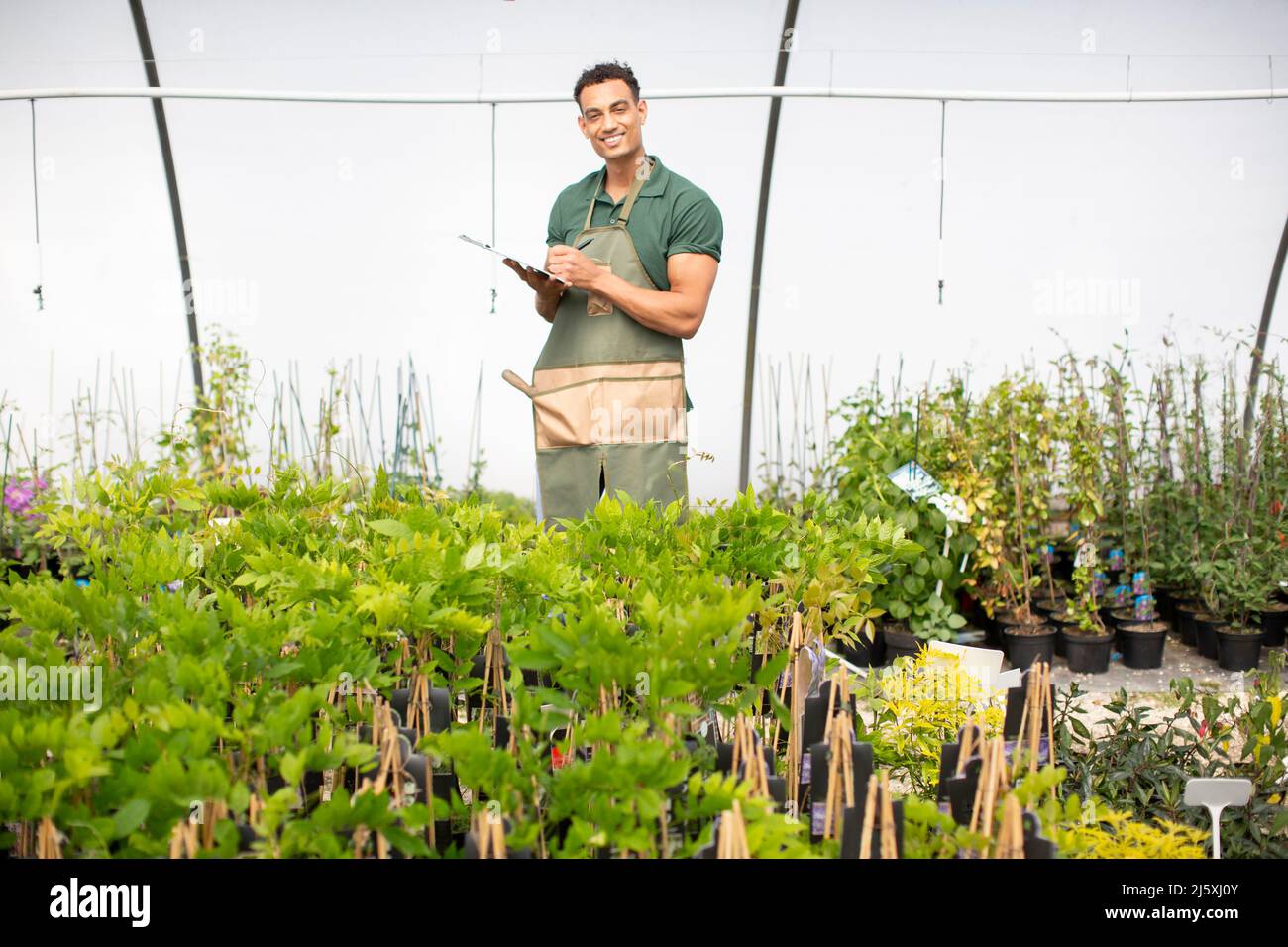 Portrait happy male plant nursery owner in apron in greenhouse Stock ...