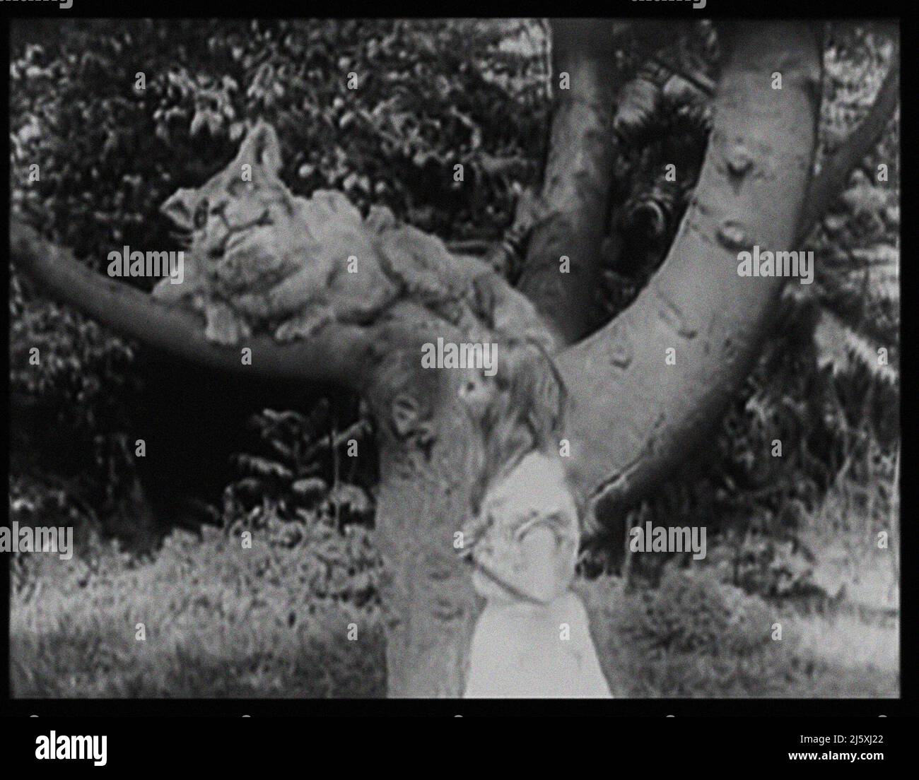 Alice in Wonderland 1915 vintage movie still Stock Photo - Alamy