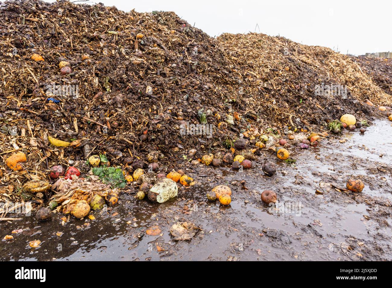 Large heap of rotten fruits and vegetables at compost sorting and ...