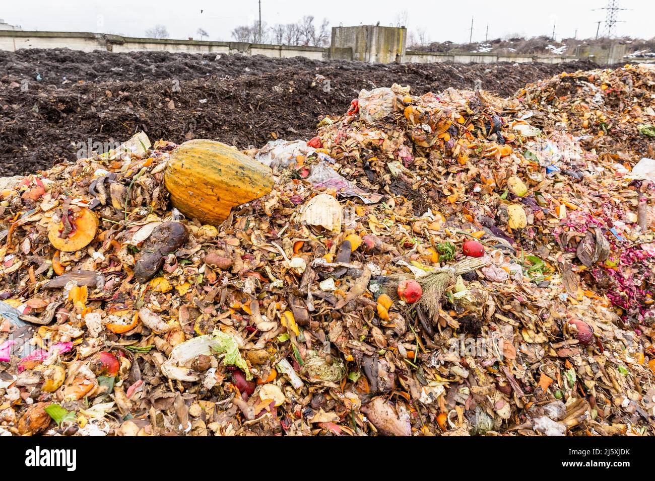 Large heap of rotten fruits and vegetables at compost sorting and ...