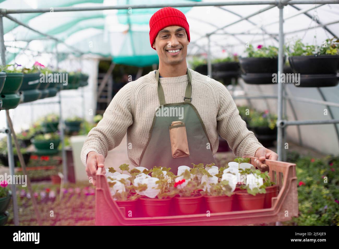 Smiling male owner potted hi-res stock photography and images - Alamy