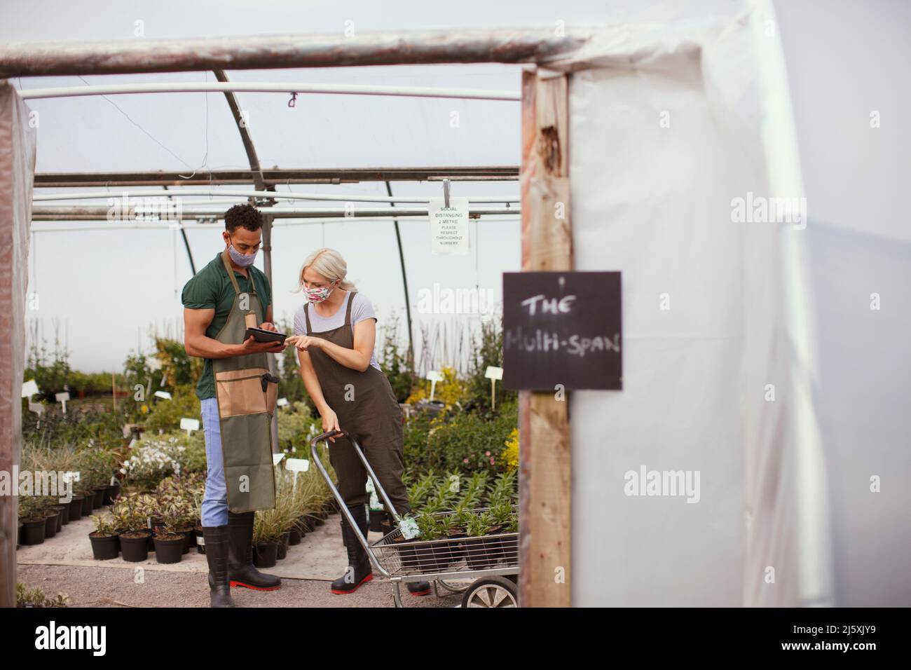 Greenhouse safety hi-res stock photography and images - Alamy