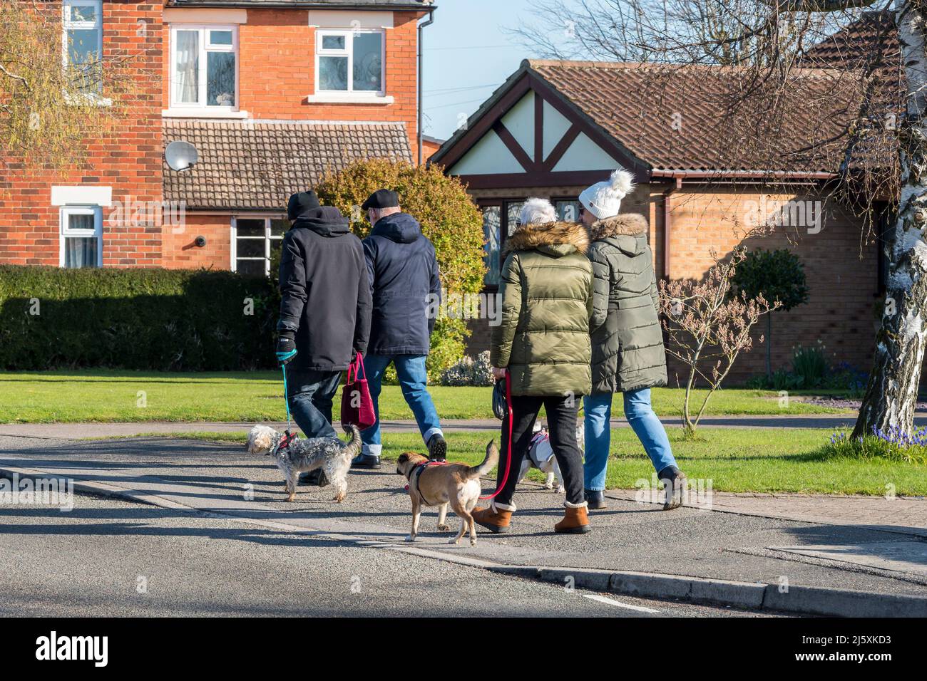 Male walking dogs hi-res stock photography and images - Alamy