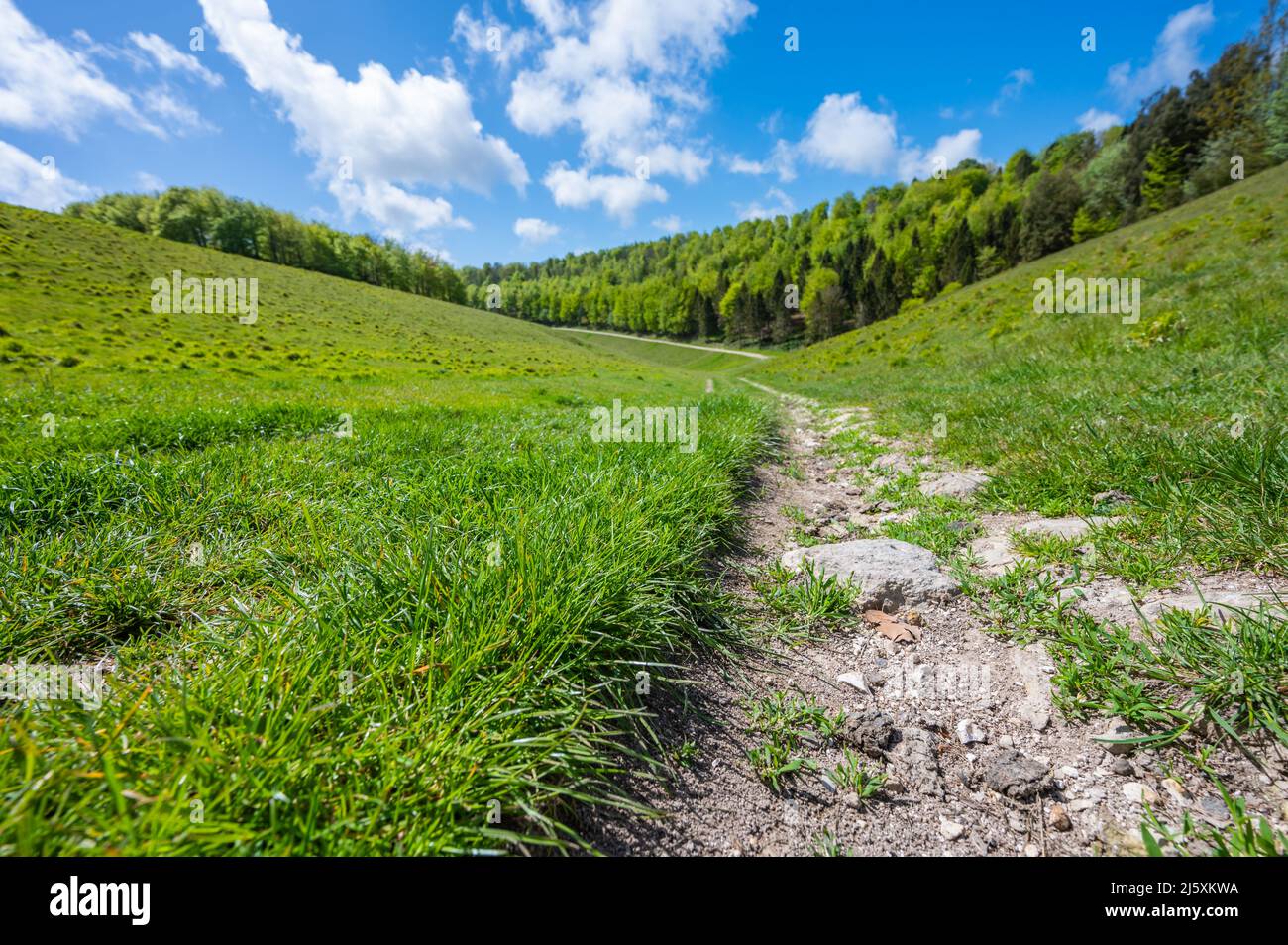 Public footpath on grass in the British Countryside in Arundel Park ...