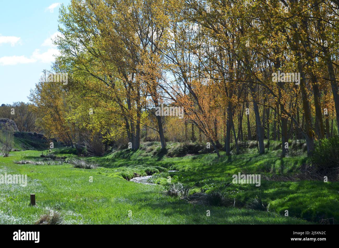 The Magro river canyon in Requena, Valencia region, eastern Spain Stock ...