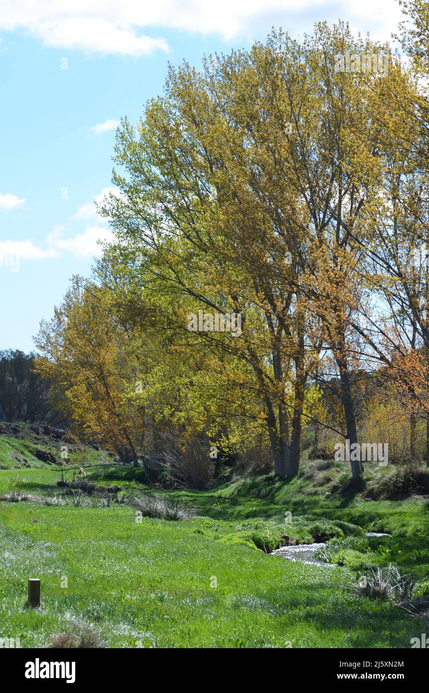 The Magro river canyon in Requena, Valencia region, eastern Spain Stock ...
