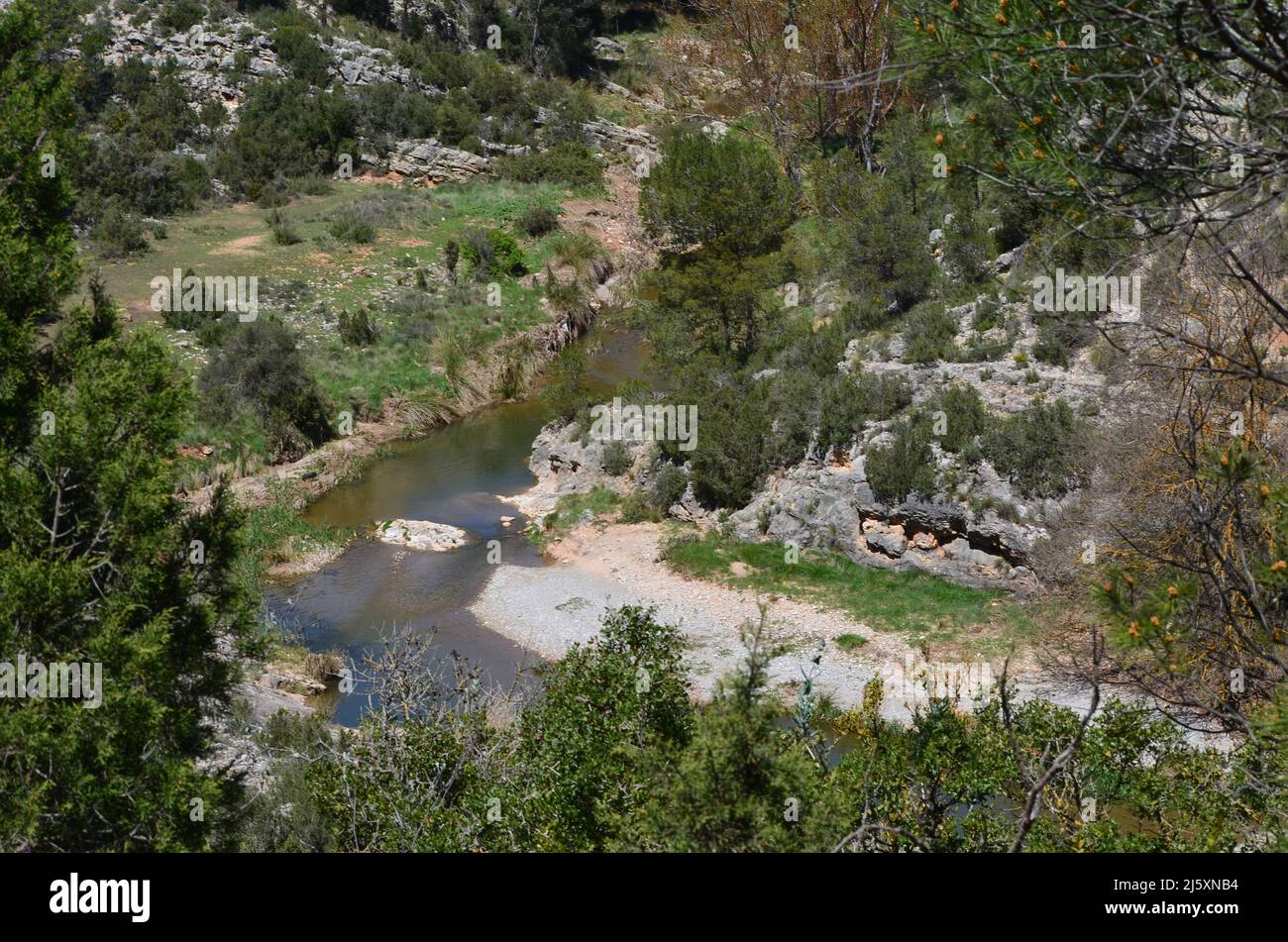 Riverine forest restoration hi-res stock photography and images - Alamy