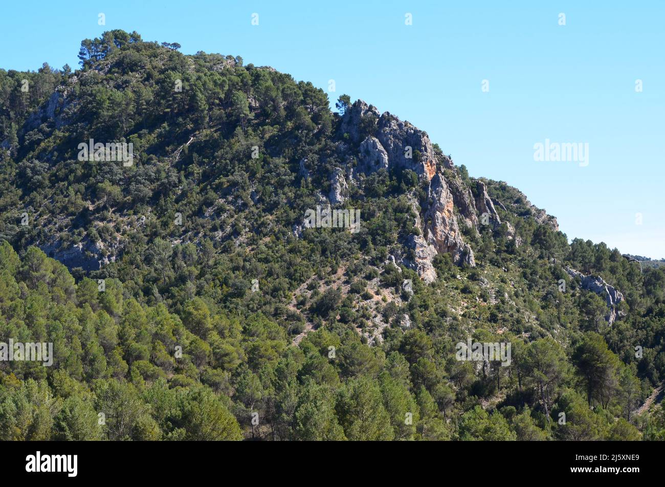 The Magro river canyon in Requena, Valencia region, eastern Spain Stock ...