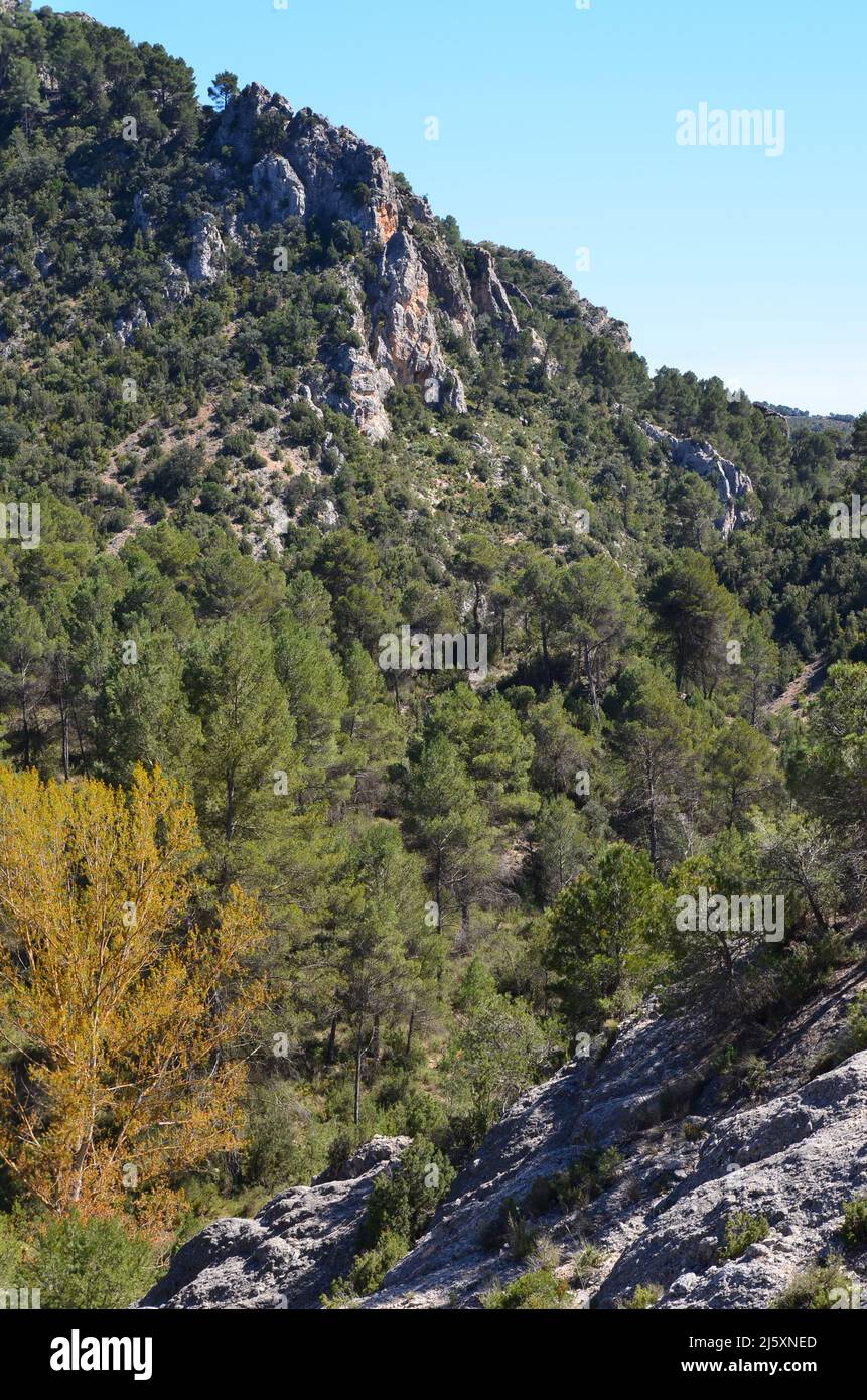 Requena utiel plateau hi-res stock photography and images - Alamy