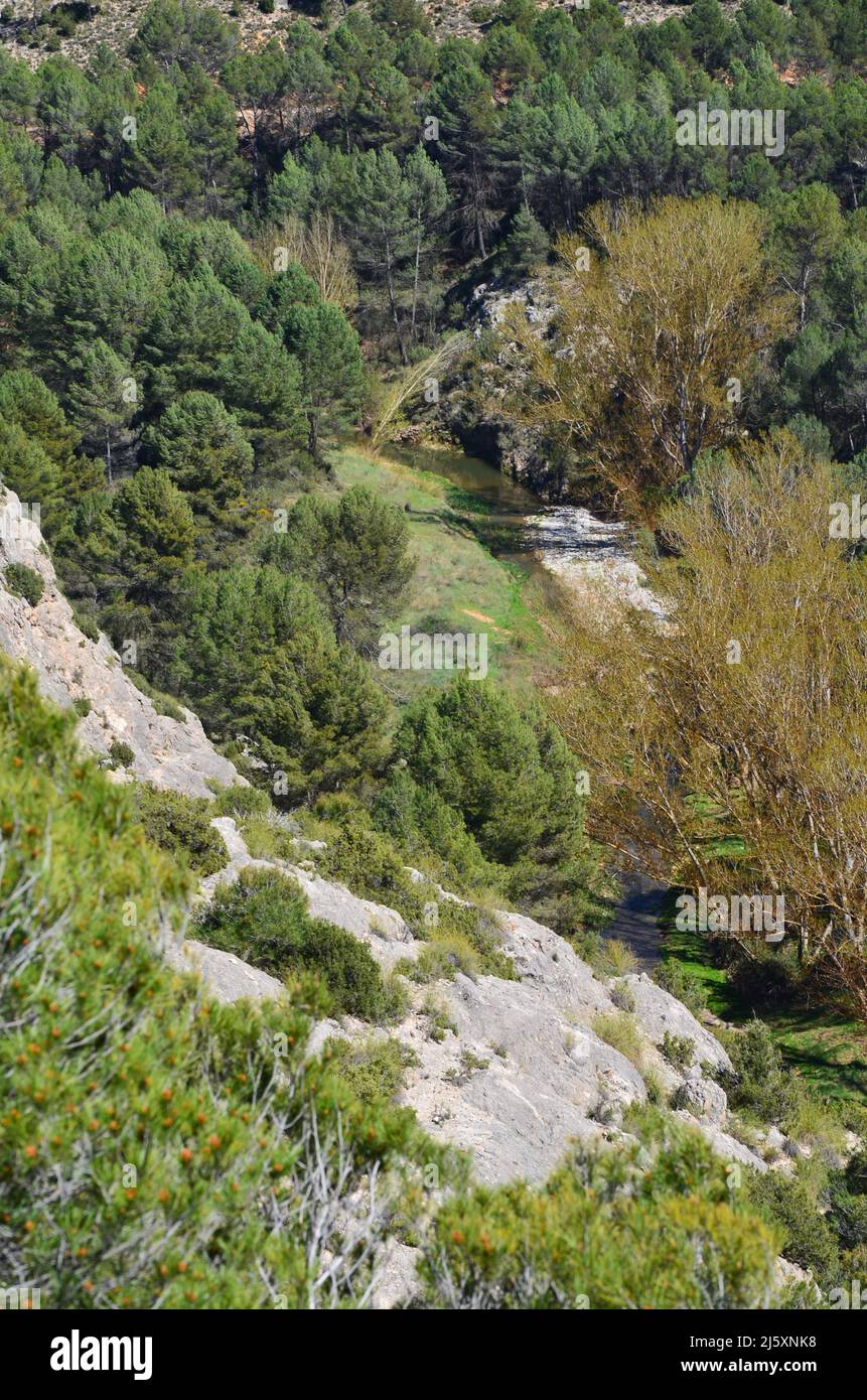 The Magro river canyon in Requena, Valencia region, eastern Spain Stock ...