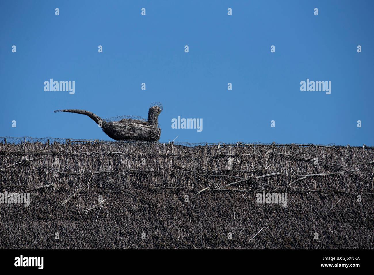 Thatched roof with finial in the shape of a peacock or pheasant Stock ...
