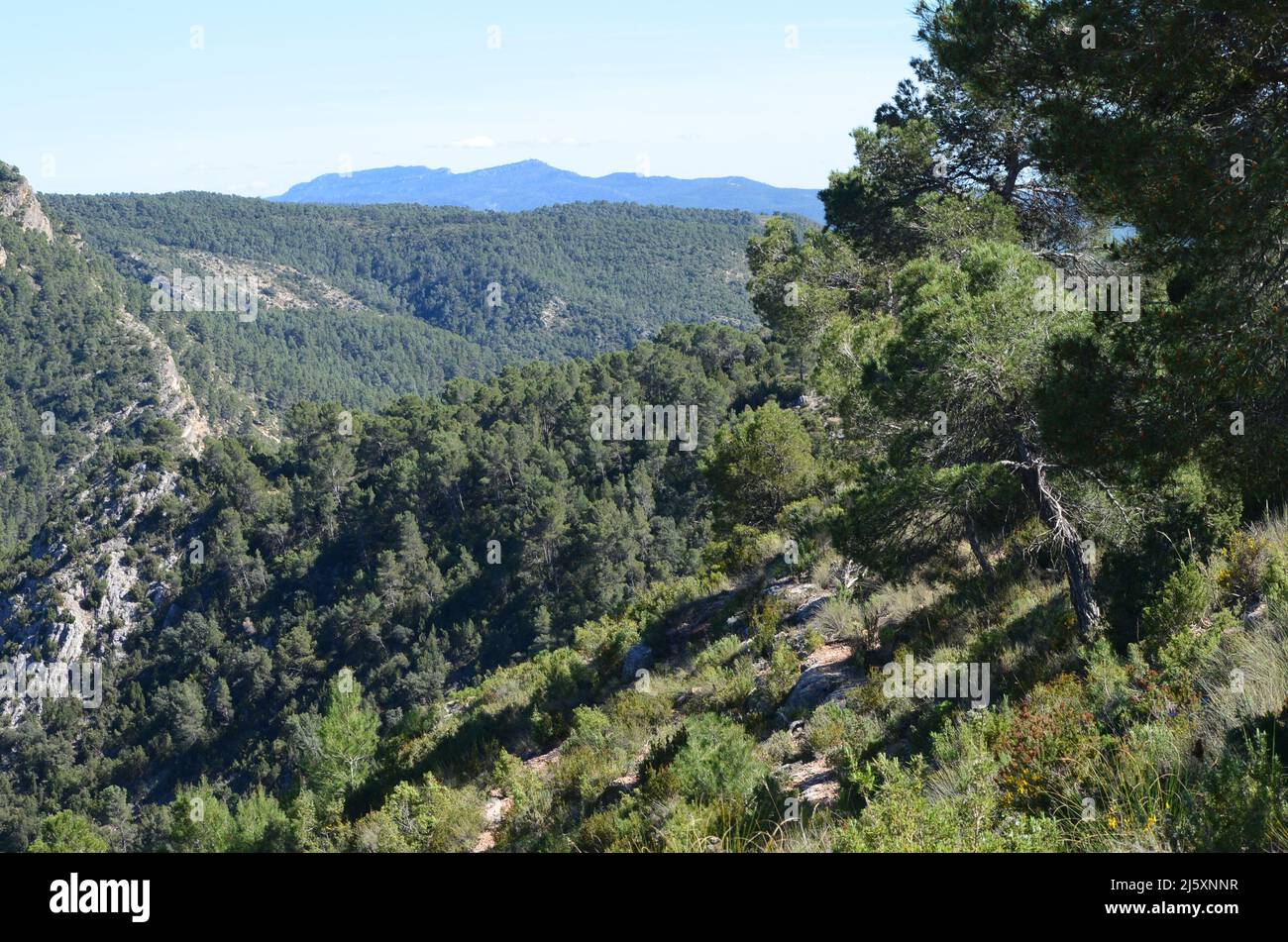 The Magro river canyon in Requena, Valencia region, eastern Spain Stock ...