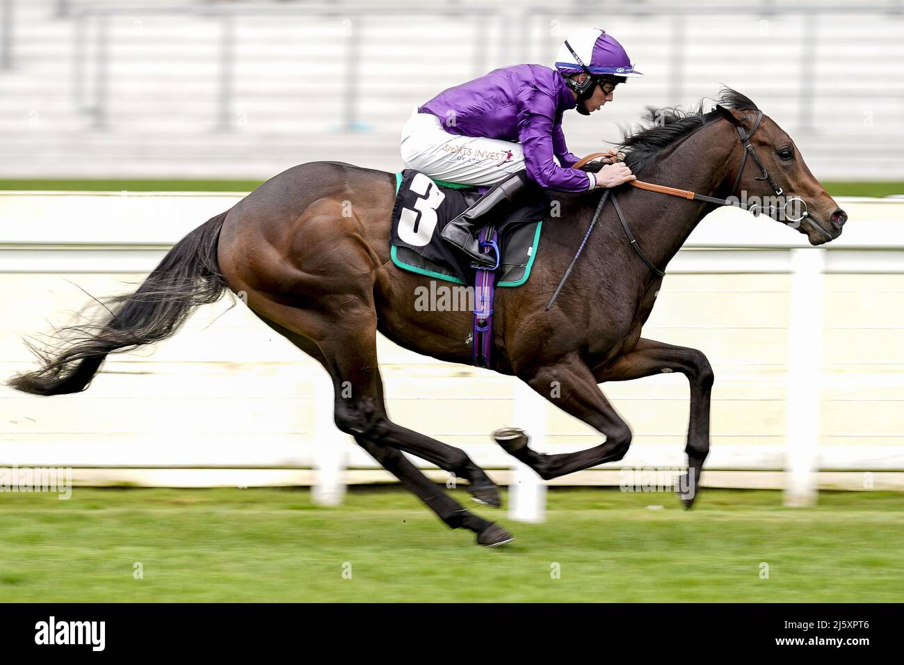 Go bears go ascot hi-res stock photography and images - Alamy