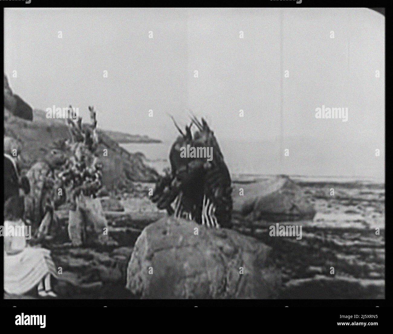 Alice in Wonderland 1915 vintage movie still Stock Photo - Alamy