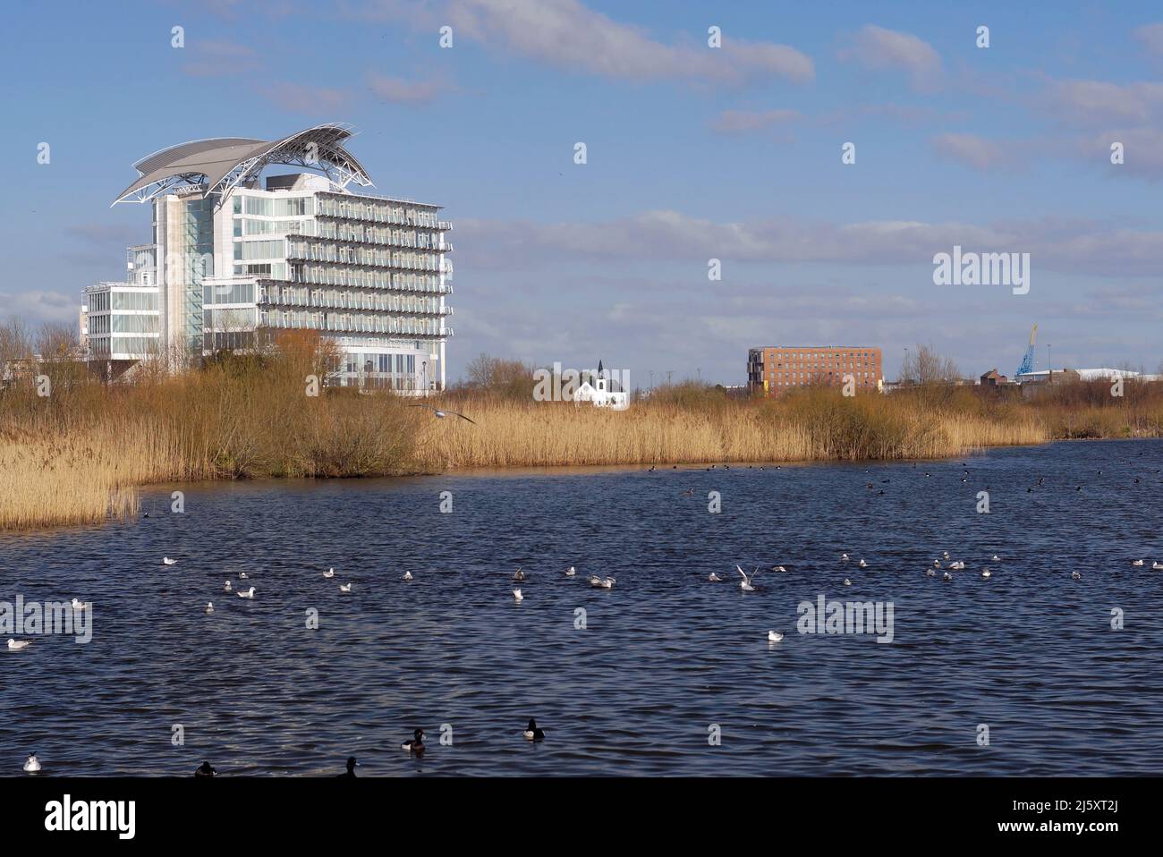 Cardiff Bay Wetland Nature Reserve Stock Photo - Alamy
