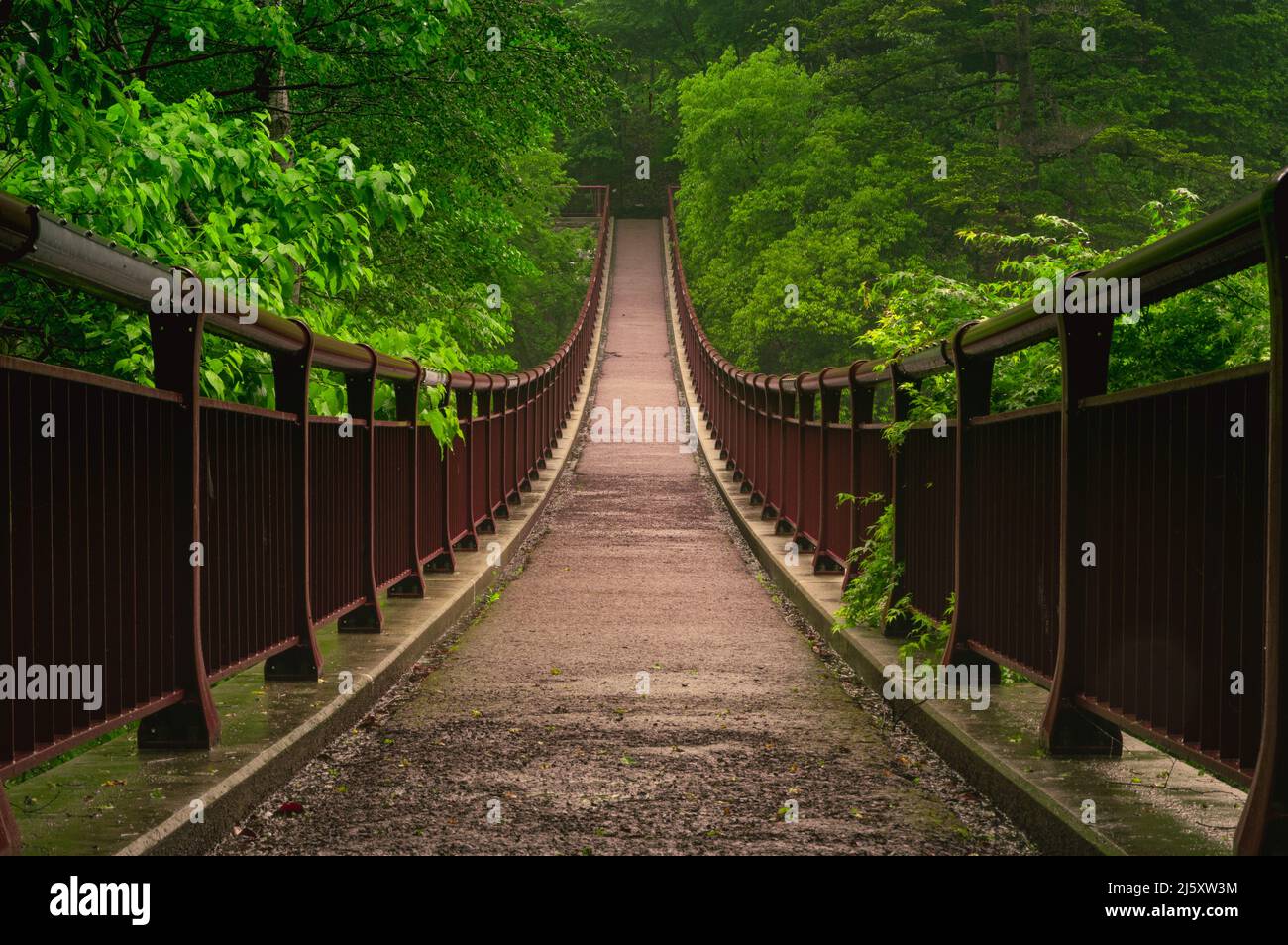 The Ishibune-bashi Bridge (石舟橋 / Ishibune-bashi) extends for 96 meters ...