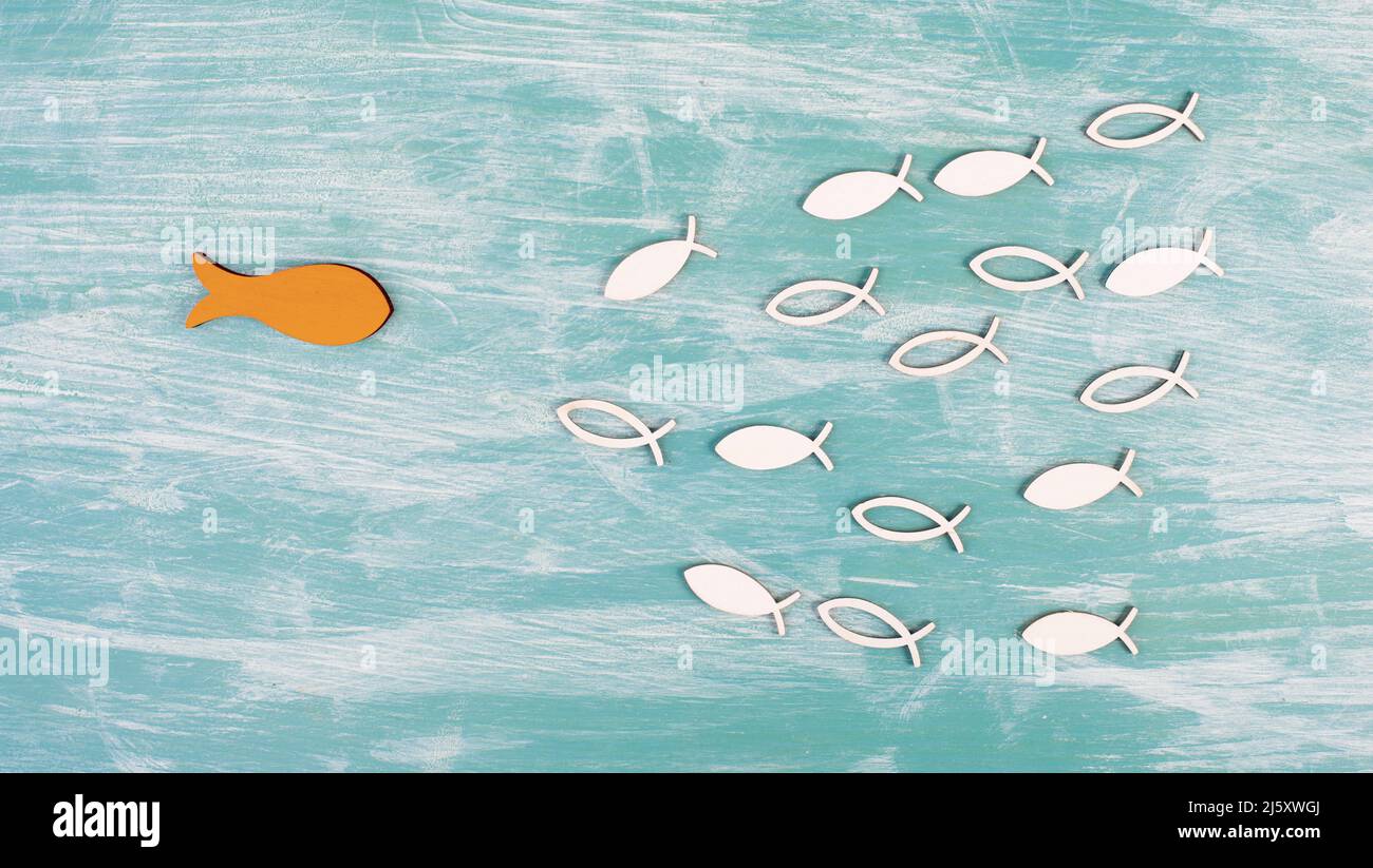 One fish is the leader of the group, leadership and teamwork concept ...
