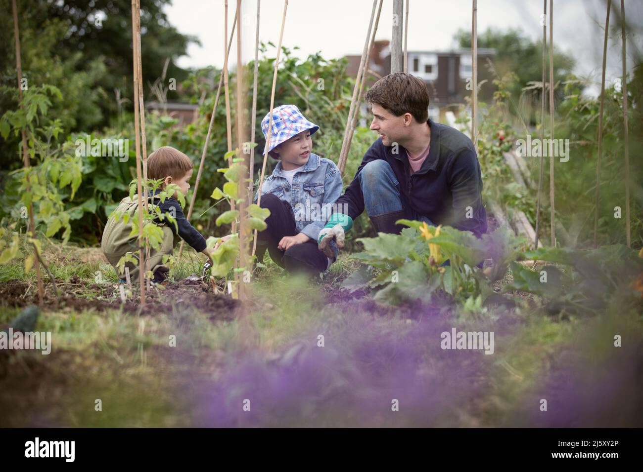 Father and son gardening hi-res stock photography and images - Alamy