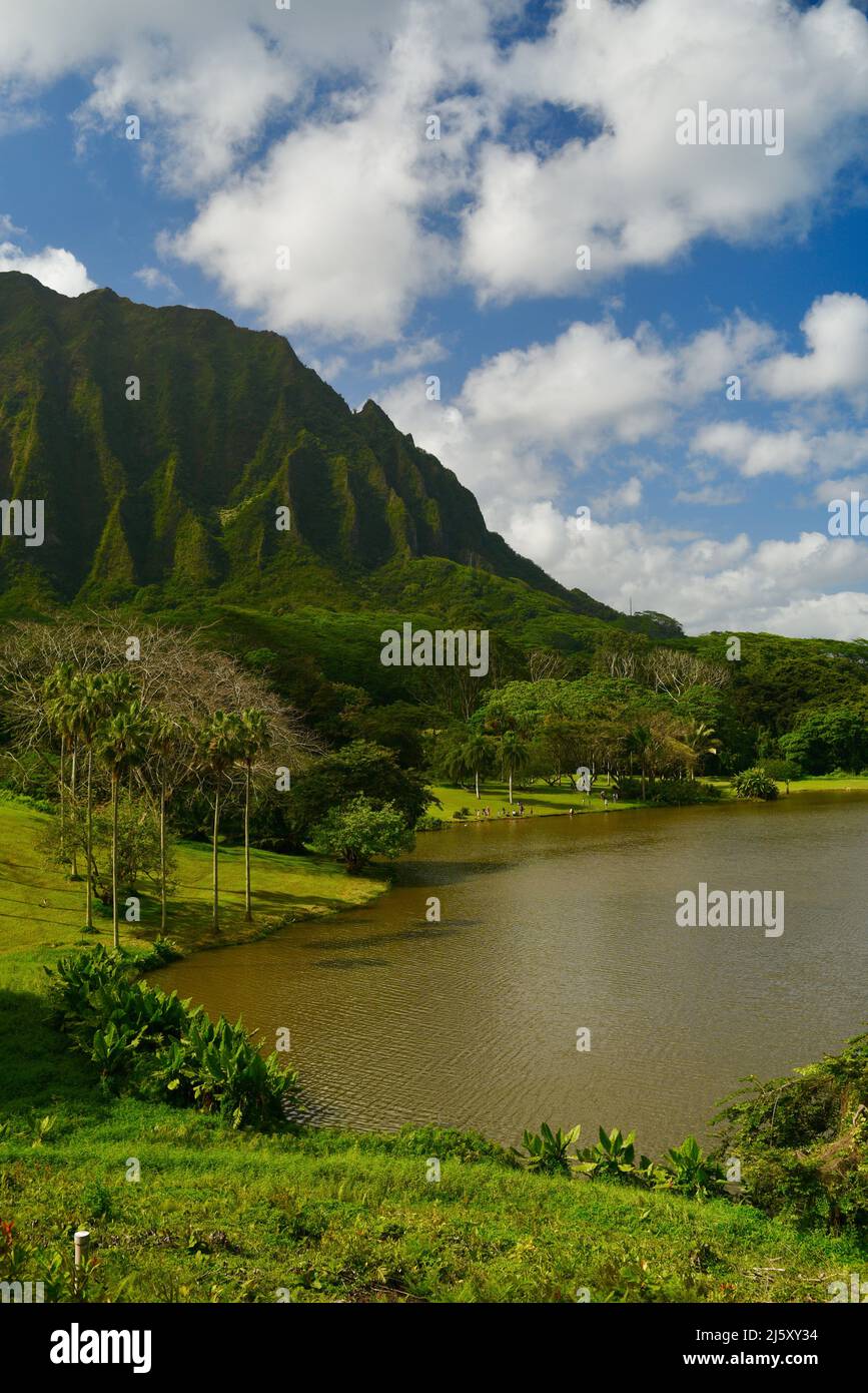 View of mountains and fresh-water lake from Ho’omaluhia Botanical ...