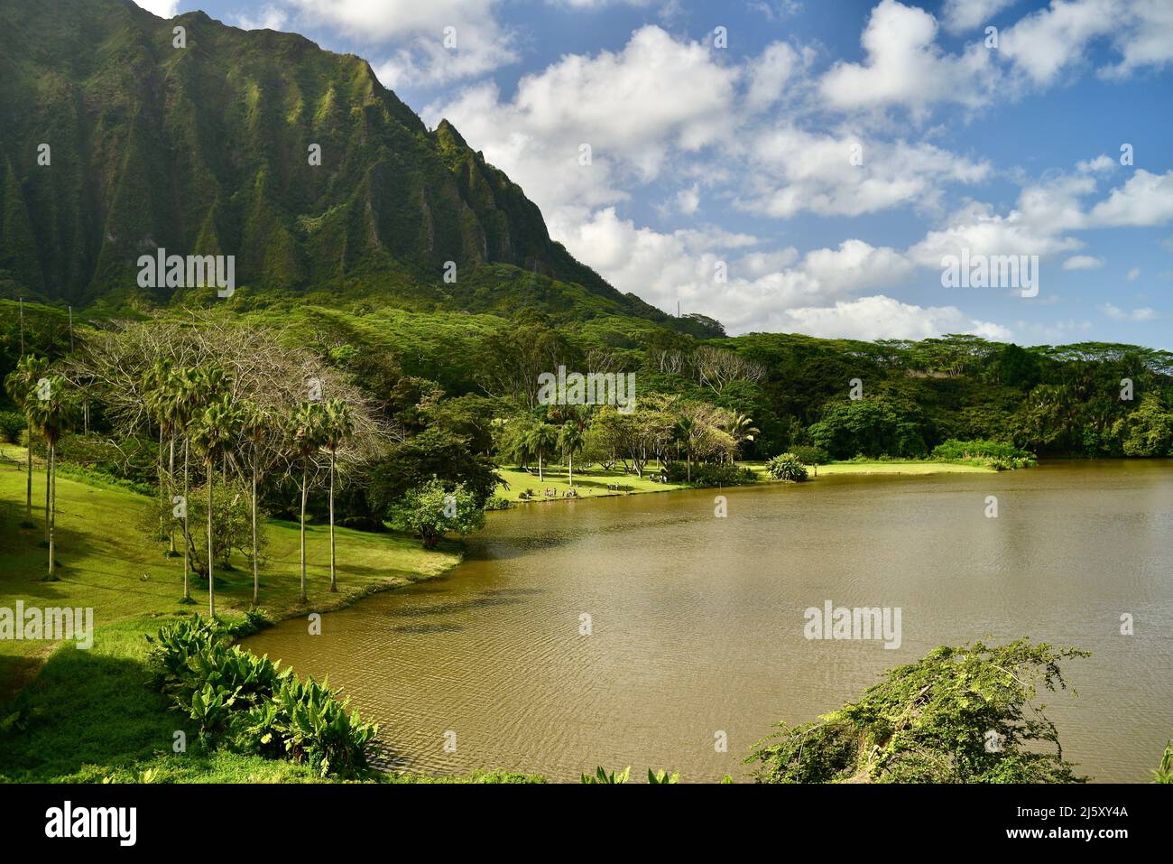 View of mountains and fresh-water lake from Ho’omaluhia Botanical ...