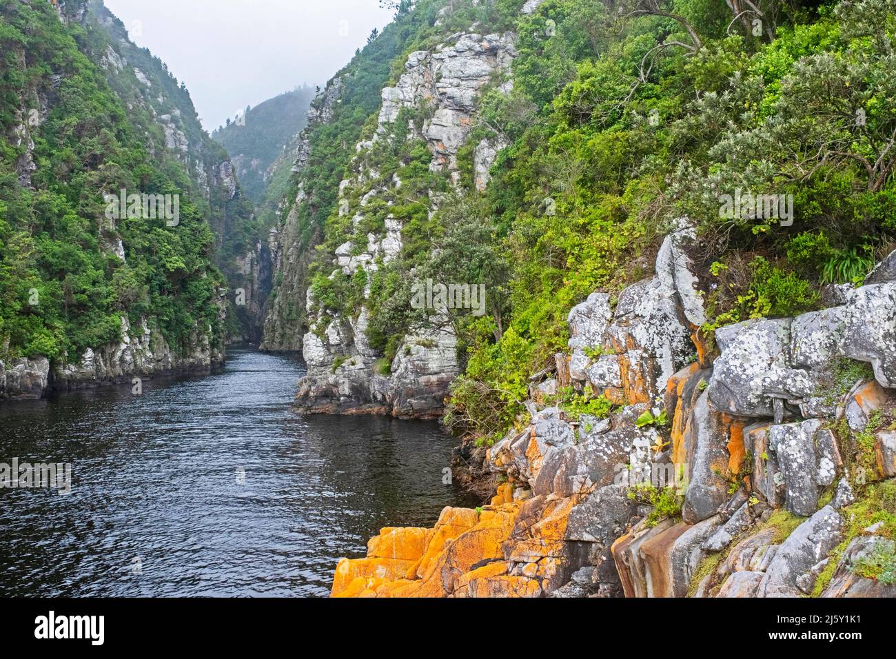 Storms River / Stormsrivier mouth running through gorge in the ...