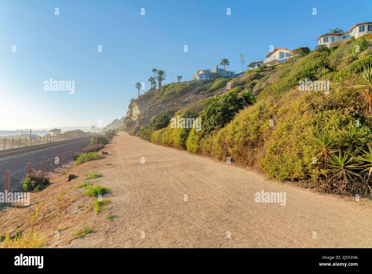 Train tracks between trees hi-res stock photography and images - Alamy