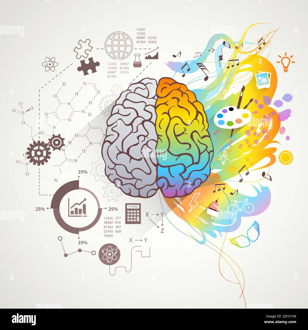 Left and right brain concept with colors music and science flat vector ...