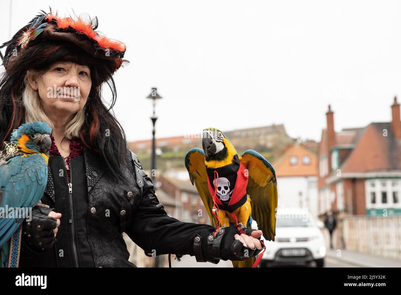 Parrot rock bridge hi-res stock photography and images - Alamy