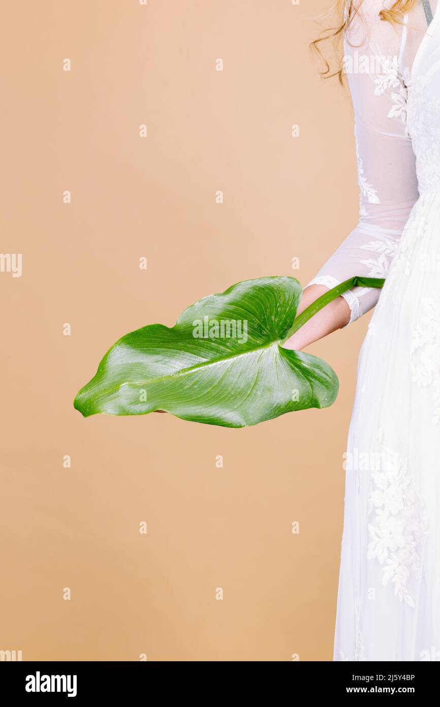 Crop faceless Woman in elegant white dress standing with green leaf on ...