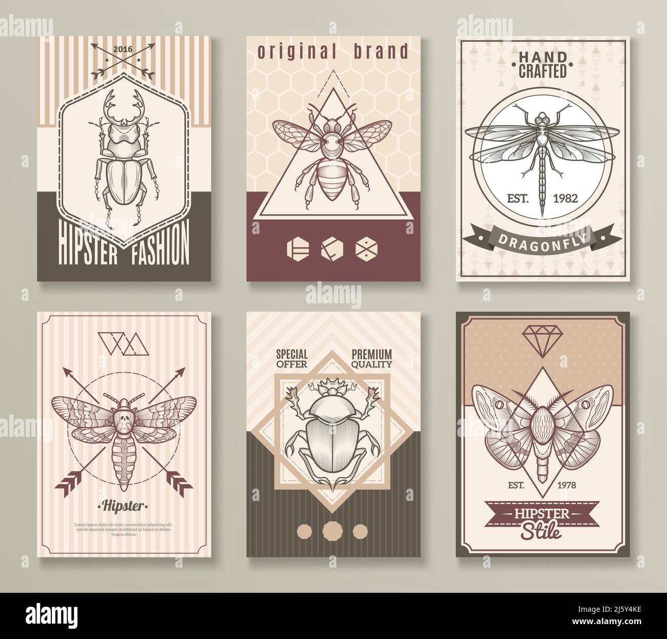 Special insects Stock Vector Images - Alamy