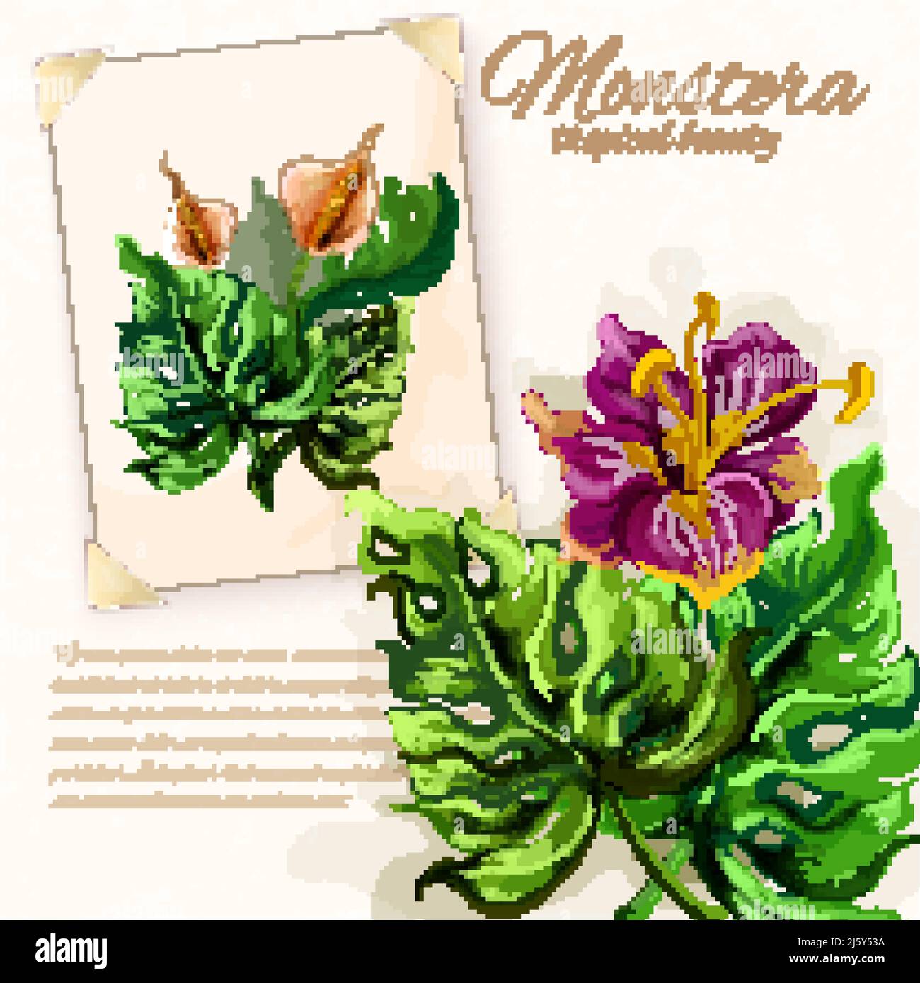 Exotic monstera plant opulent green leaves with hibiscus flower ...