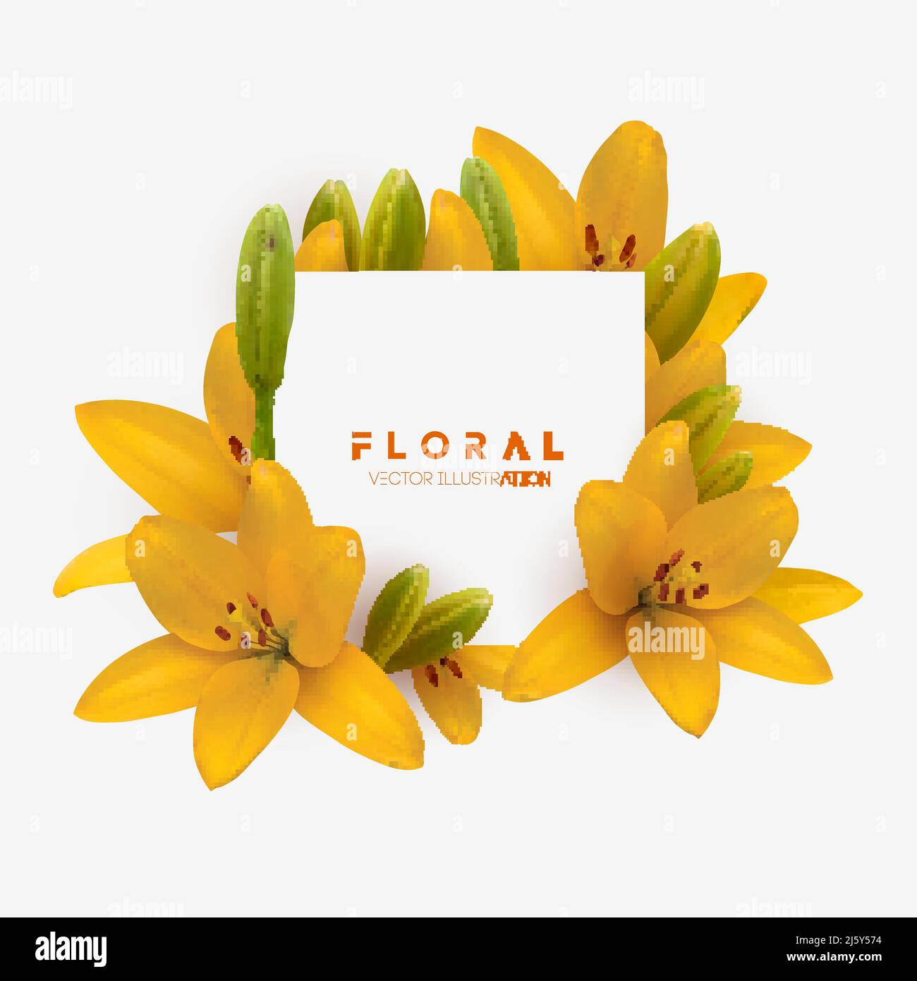 Yellow lily flower bouquet isolated. Vector illustration of yellow ...