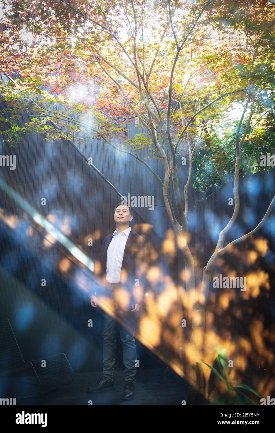 Changing tree hi-res stock photography and images - Alamy