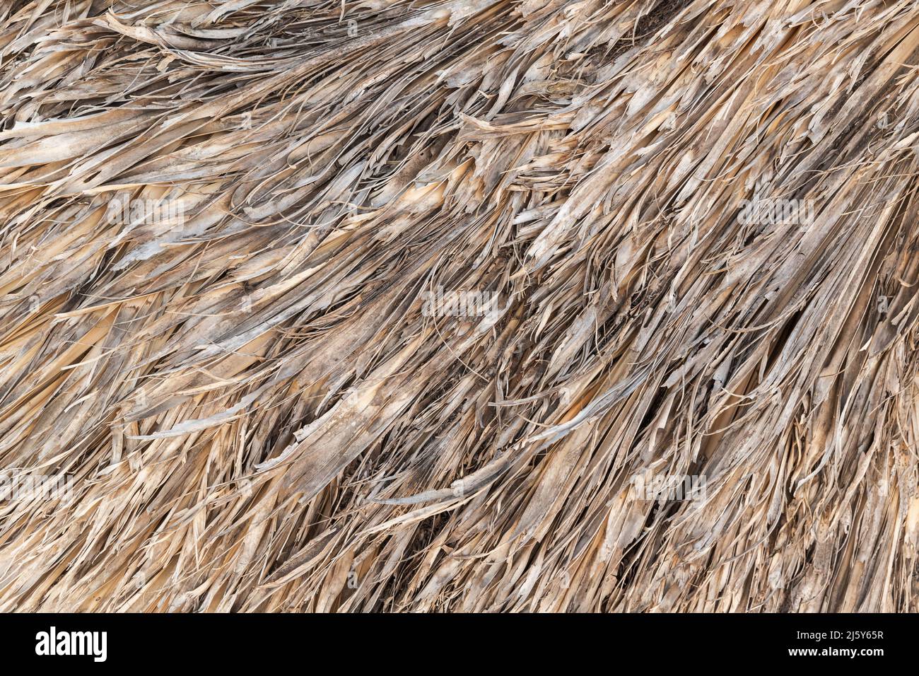 Tropical straw roof hut hi-res stock photography and images - Alamy