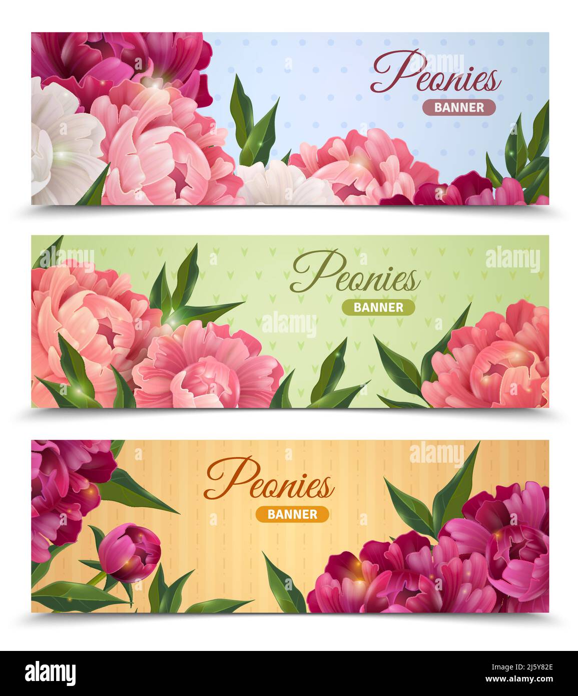 Flower horizontal realistic banners set with peonies isolated vector ...