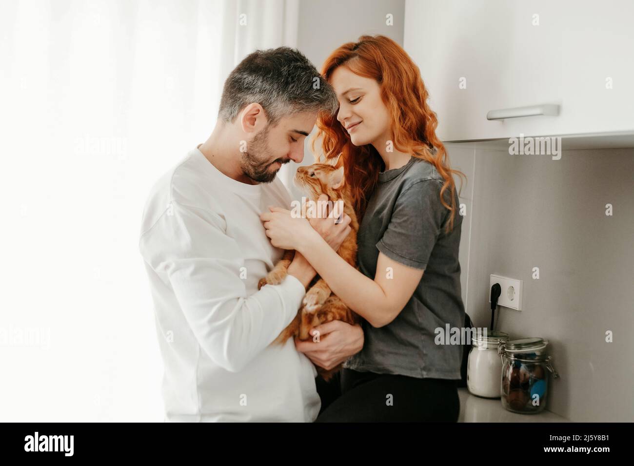 The red cat kitchen hi-res stock photography and images - Alamy