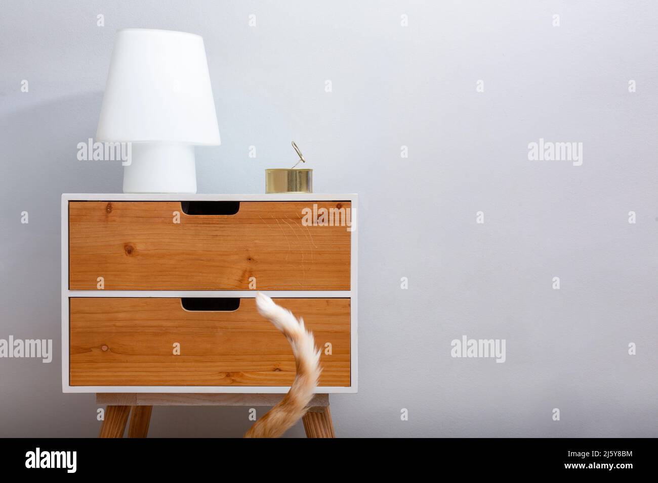Crop cat walking near metal can placed on side table with lamp and ...