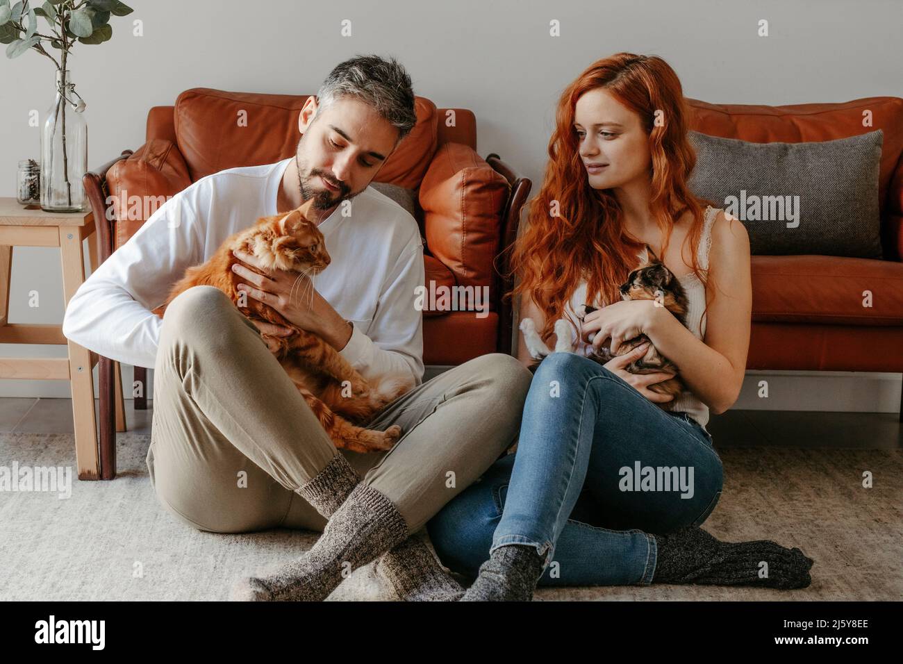 Cats living together hi-res stock photography and images - Alamy
