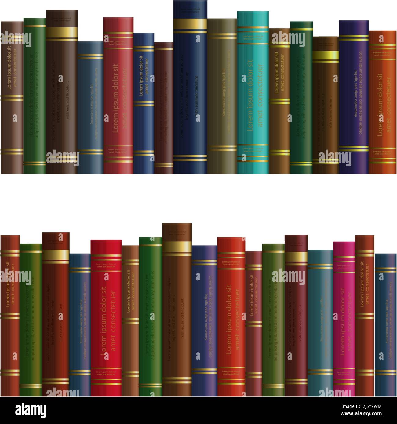 Row Of Books Vector