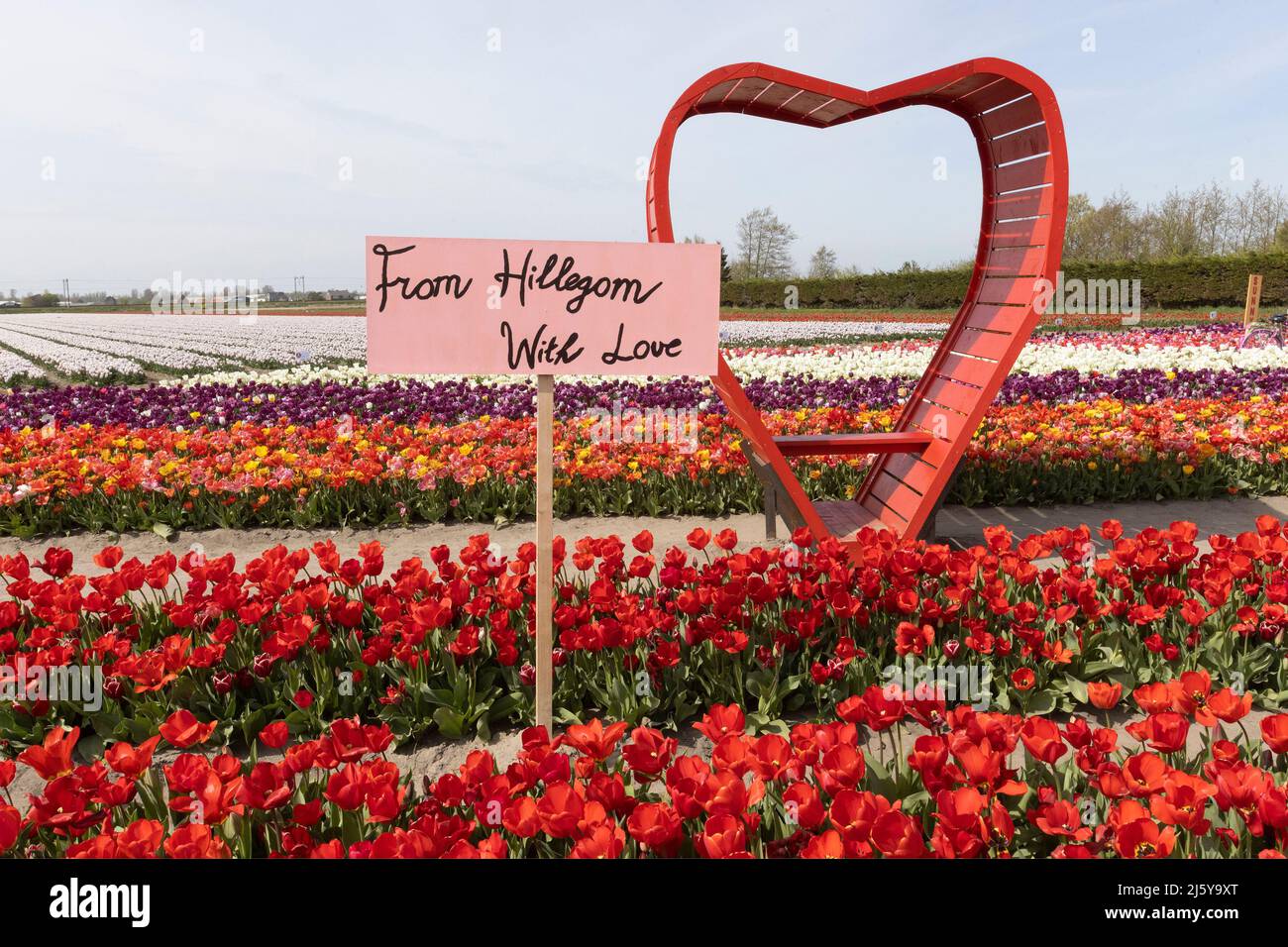 The Tulip Barn, located in Hillegom, Netherlands. © Curtis Hilbun / AFF ...