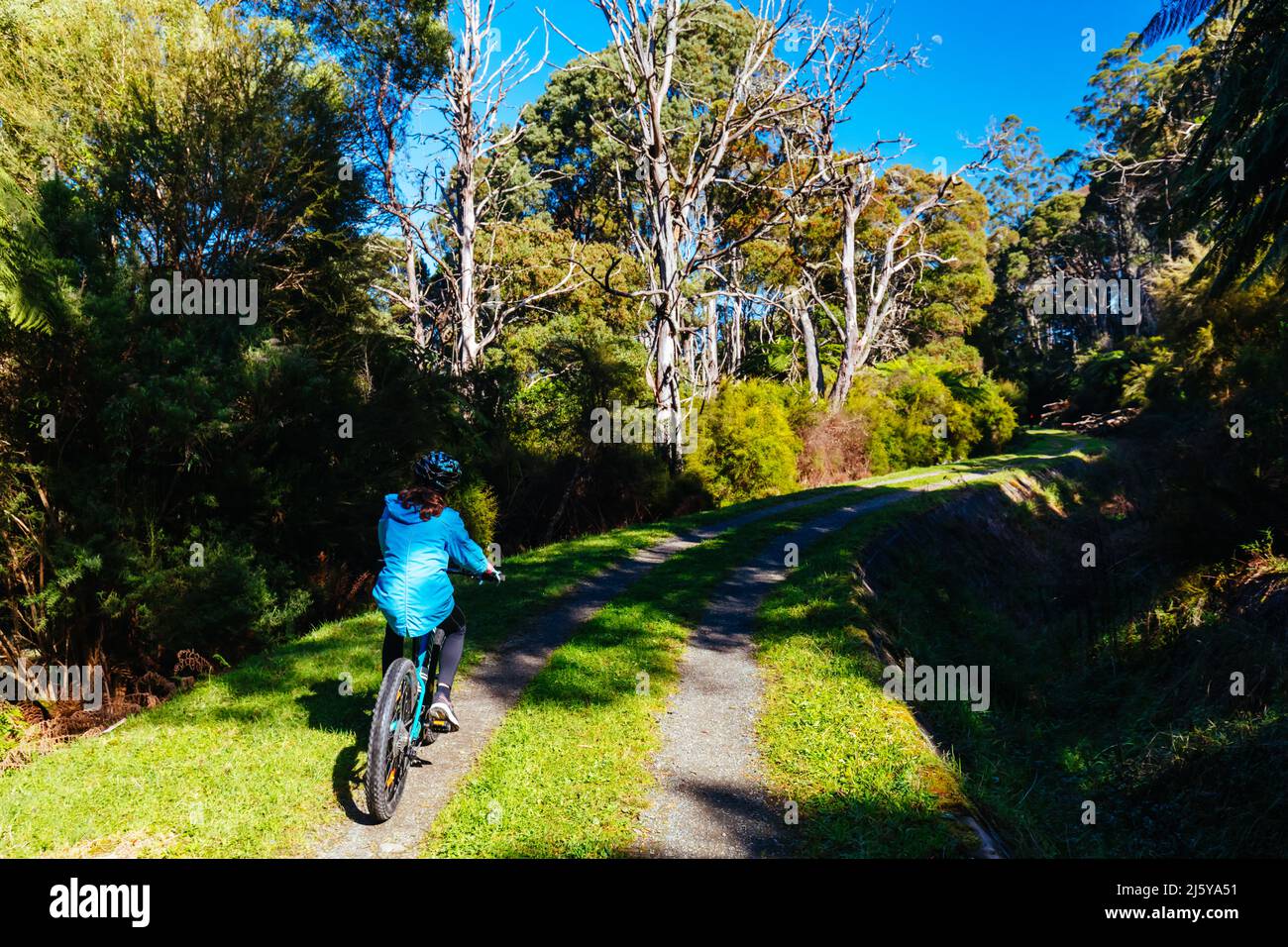 O'Shannassy Aqueduct Trail near Warburton in Victoria Australia Stock ...