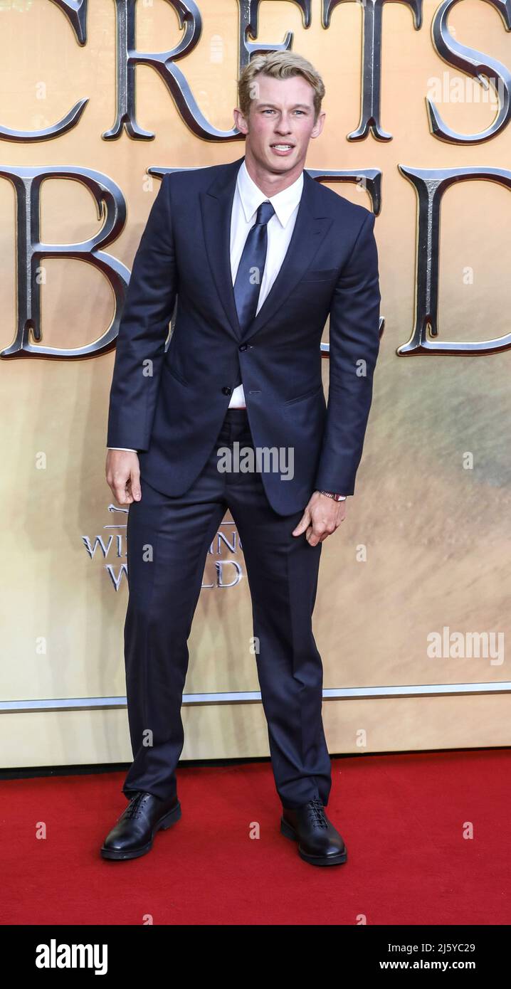 Callum turner blonde hi-res stock photography and images - Alamy