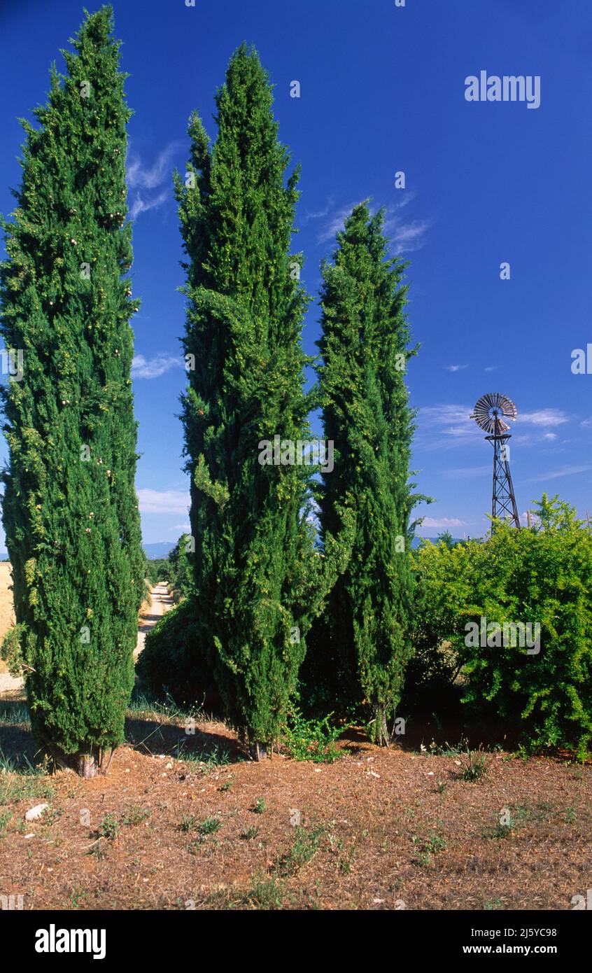 Wind turbine system to raise water from a well on the Valensole plateau ...