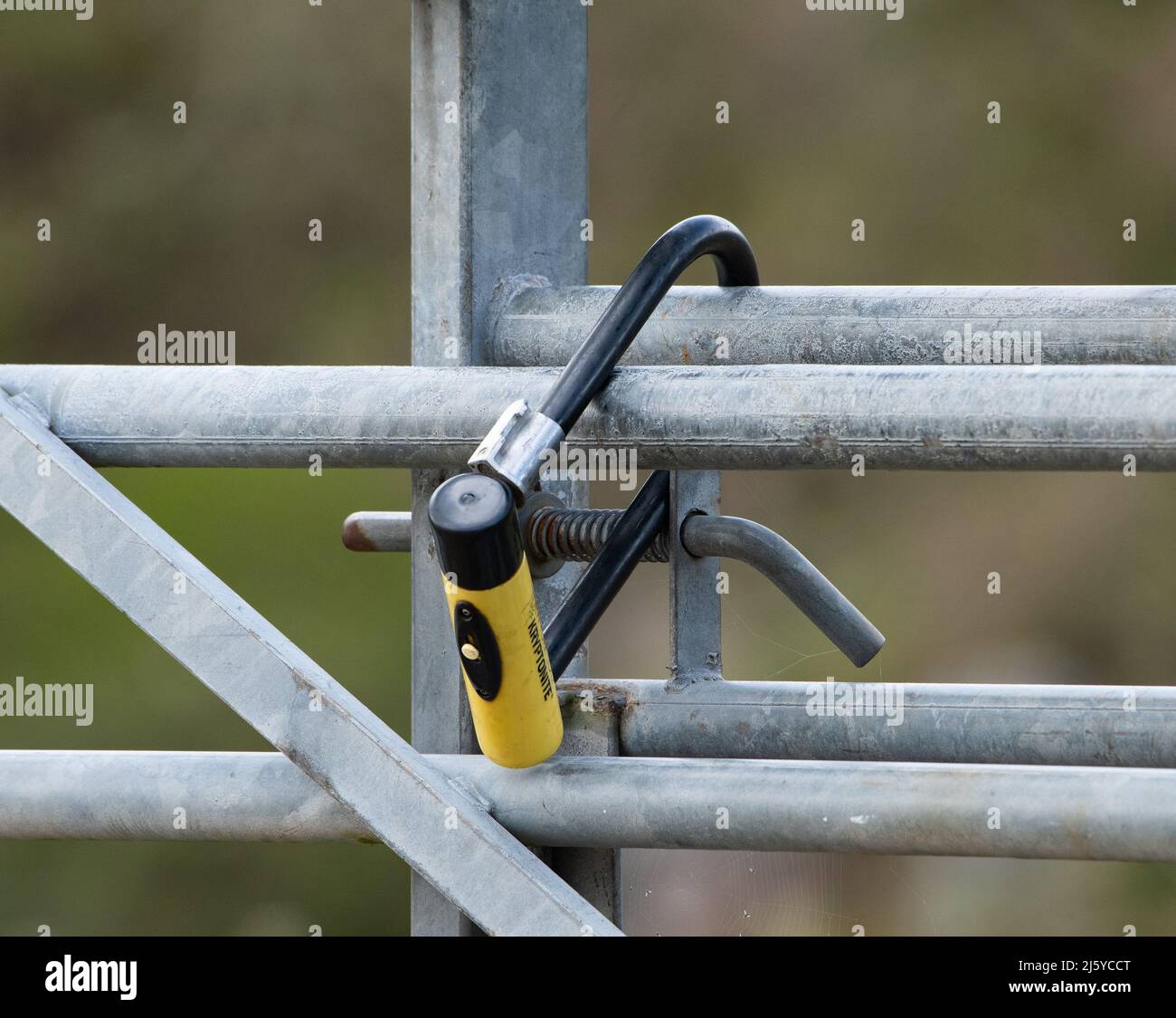 A Kryptonite lock on a metal farm gate, Silverdale, Carnforth ...