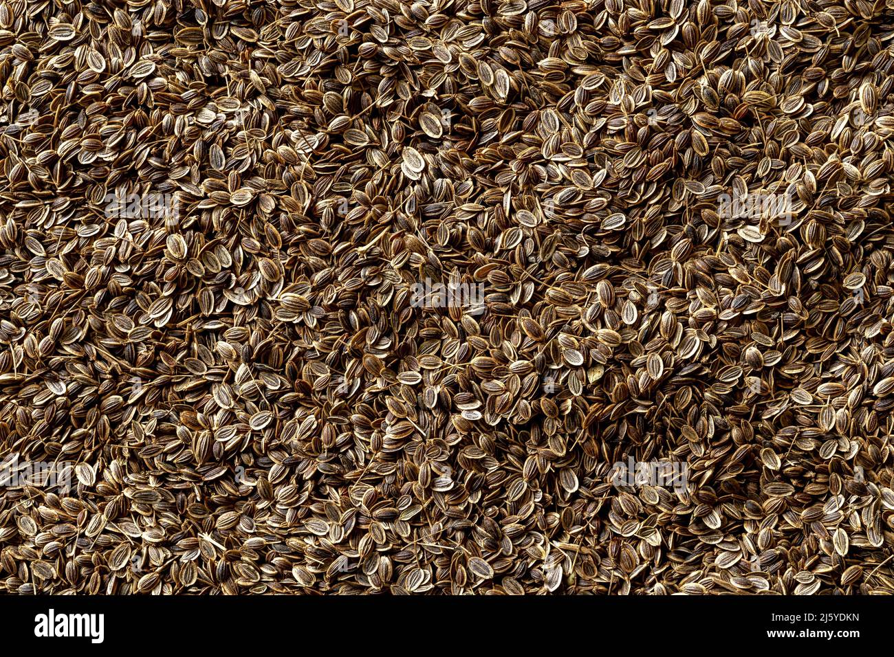 Dill texture hi-res stock photography and images - Alamy