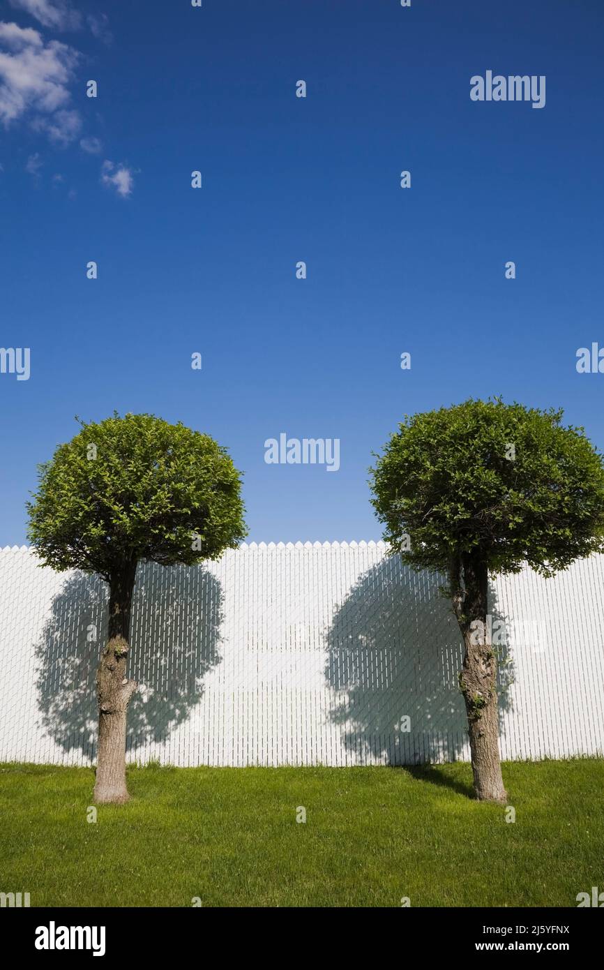 Round shaped trees hi-res stock photography and images - Alamy